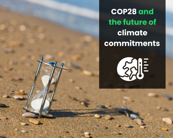 COP28: Key outcomes, shortfalls, and the future of climate commitments ...