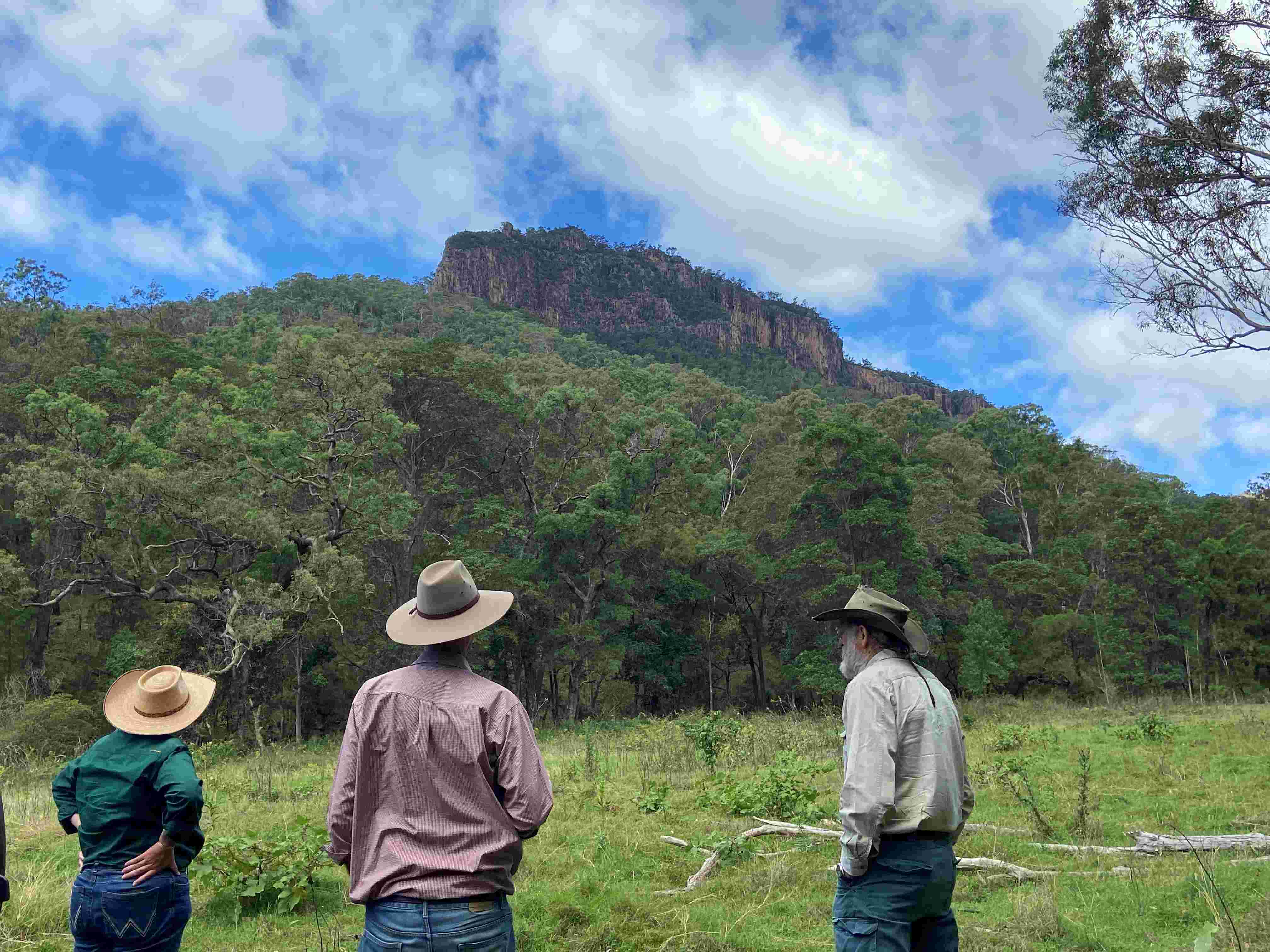 Beyond the gate: Growing partnerships through the Natural Resources ...