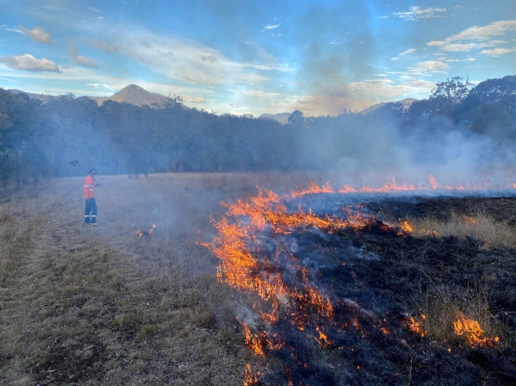 Reviving the flame of resilience with the Githabul People - Healthy ...