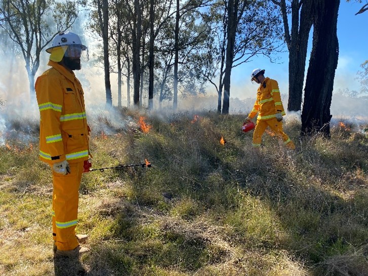 Reviving the flame of resilience with the Githabul People - Healthy ...