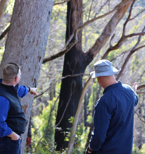 Black Summer Bushfire Recovery Program - Healthy Land & Water